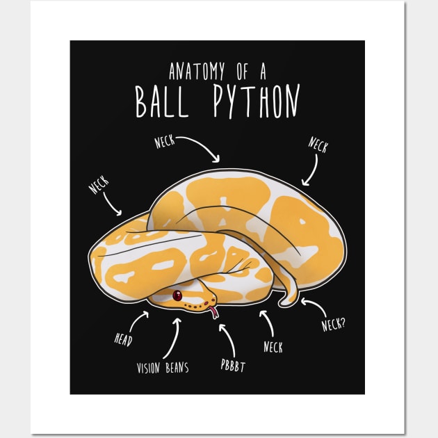 Anatomy of an Albino Ball Python - Snake - Posters and Art Prints | TeePublic
